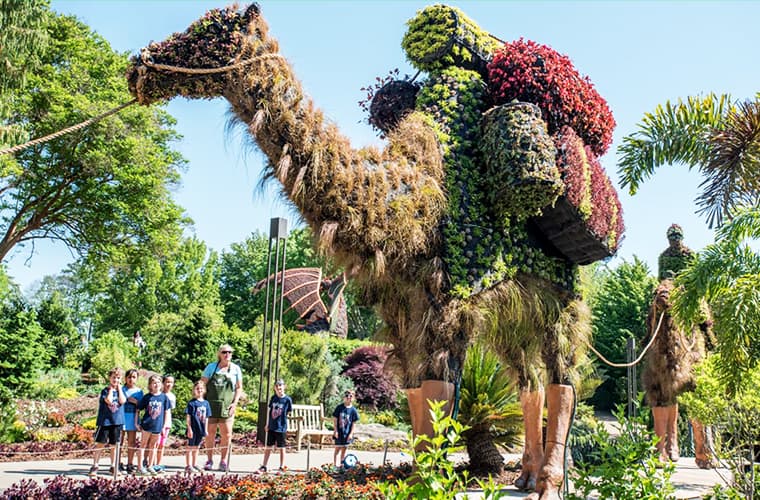 Atlanta Botanical Garden