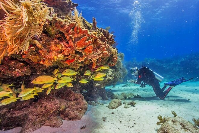 Biscayne National Park, Miami Area