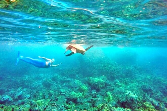 Hawaii Mermaid Adventures