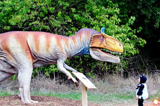 Heard Natural Science Museum And Wildlife Sanctuary