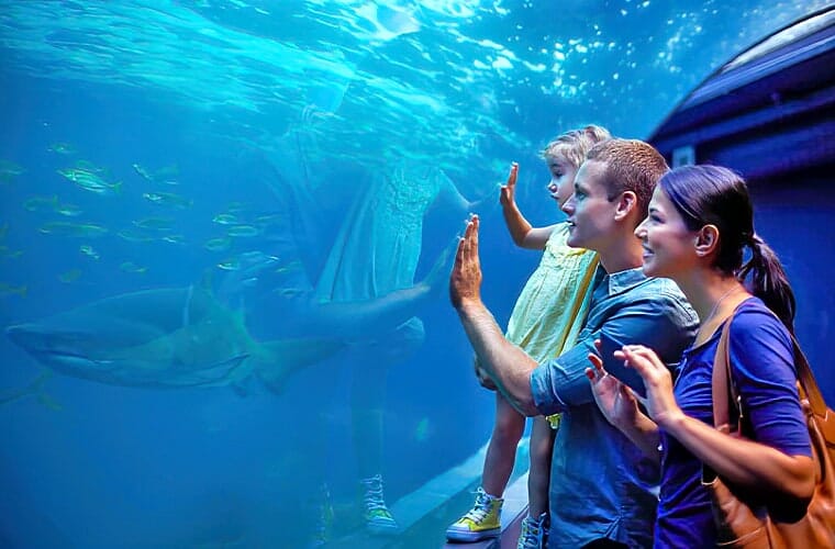 Santa Monica Pier Aquarium