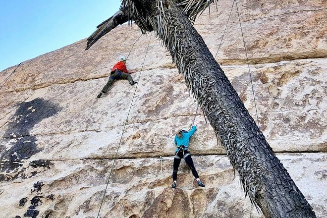 Beginner Group Rock Climbing in Joshua Tree National Park