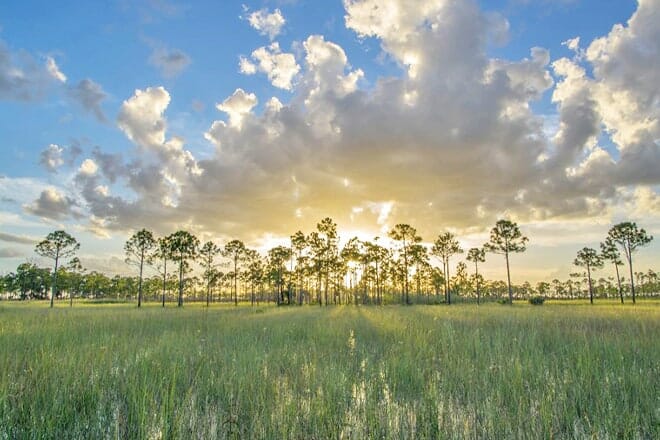 Big Cypress National Preserve