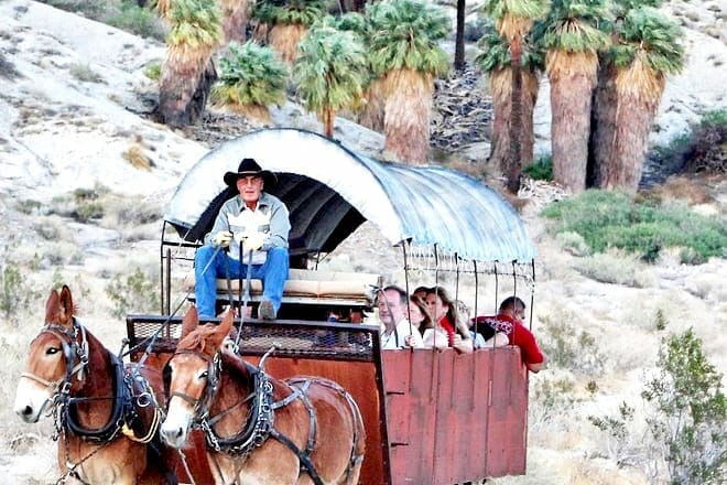 Covered Wagon Adventure & BBQ
