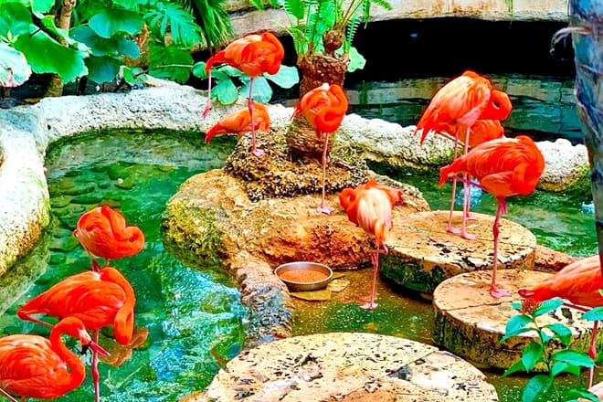 Dallas World Aquarium