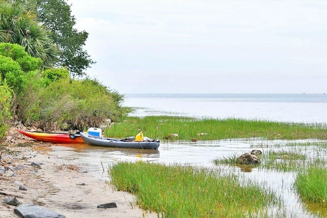 Everglades and Francis S. Taylor Wildlife Management Area