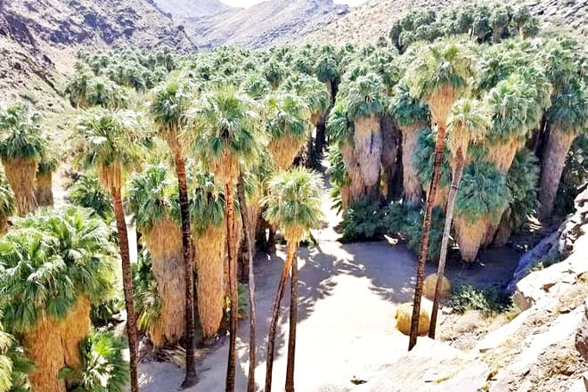 Palm Springs Indian Canyons Bike and Hike