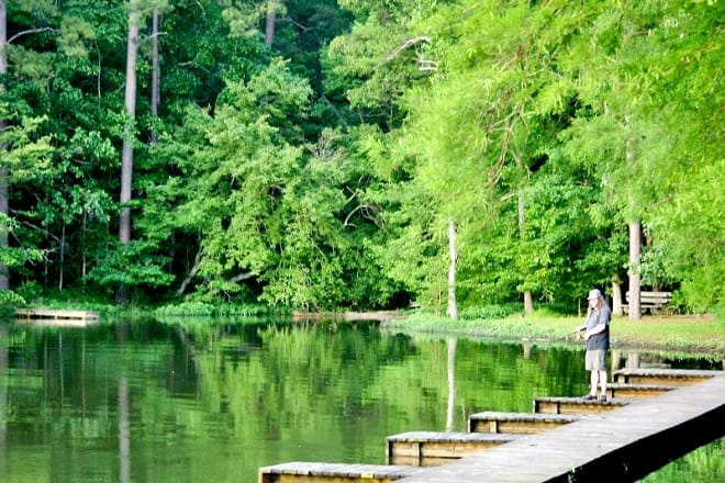 Roosevelt State Park