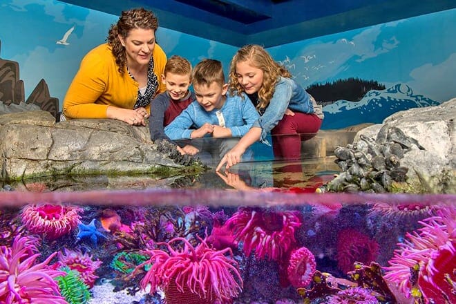 SEA Life Grapevine Aquarium