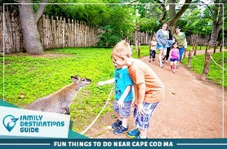Fun Things To Do Near Cape Cod MA