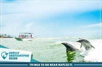 Things To Do Near Naples Fl