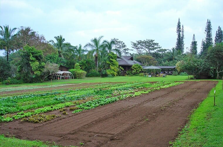 North Country Farms &ndash; Moderate &ndash; Kauai