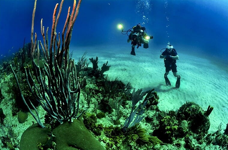 Scuba Diving Adventures Cancun