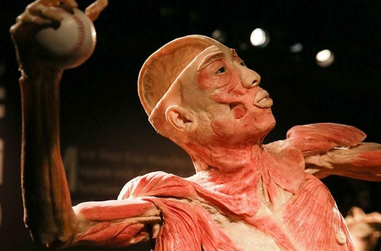 Check Out Some Preserved Human Bodies