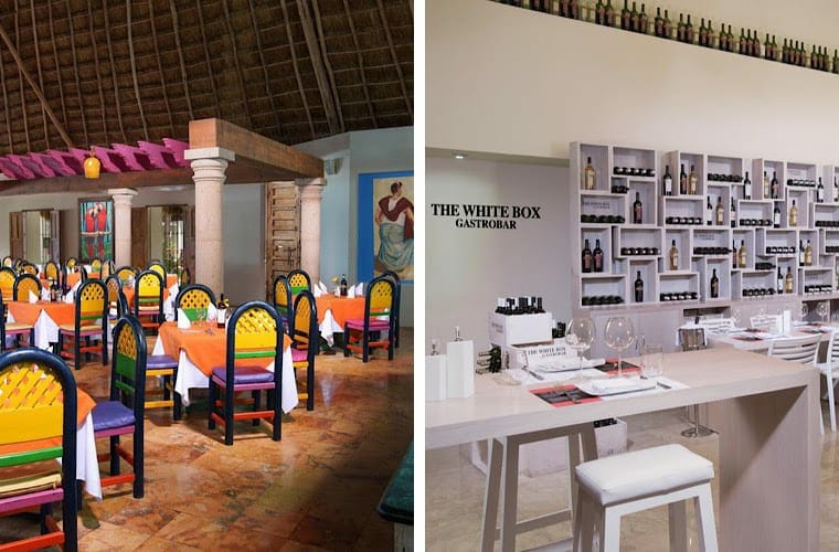 Comparing Restaurants: Oasis Palm And Grand Oasis Palm