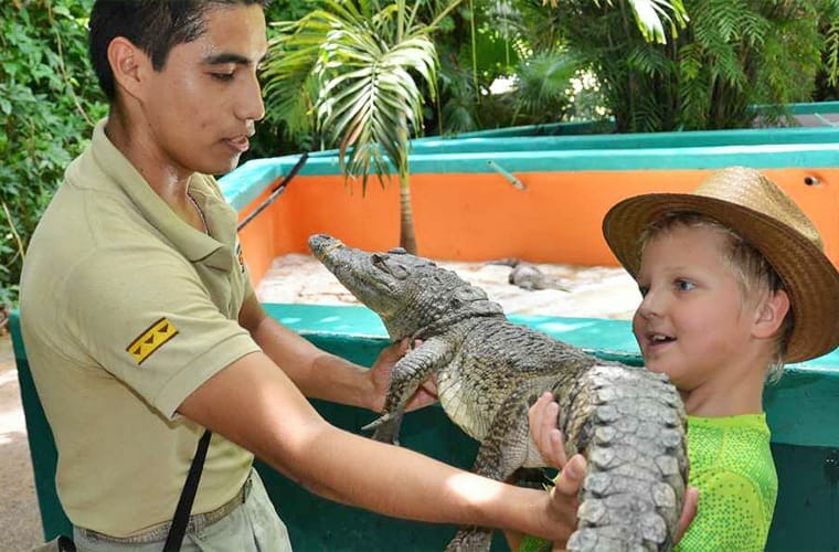 Croco Cun Zoo