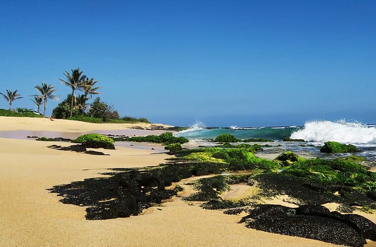 Sandy Neck Beach, MA