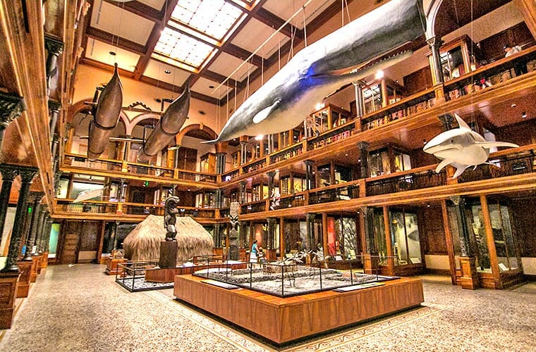 Bishop Museum