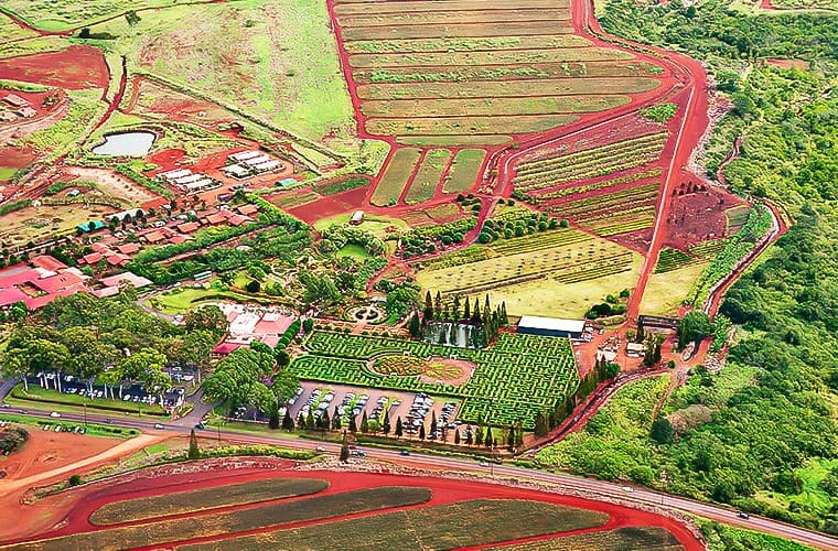 Dole Plantation, Oahu