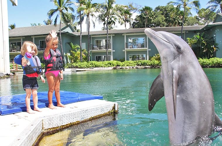 Dolphin Quest &ndash; Oahu, Oahu