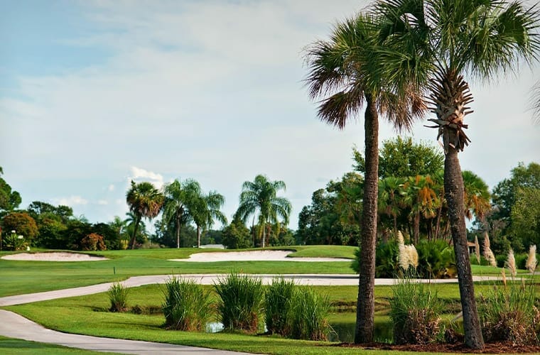 Golf Course At Club Med Sandpiper Bay