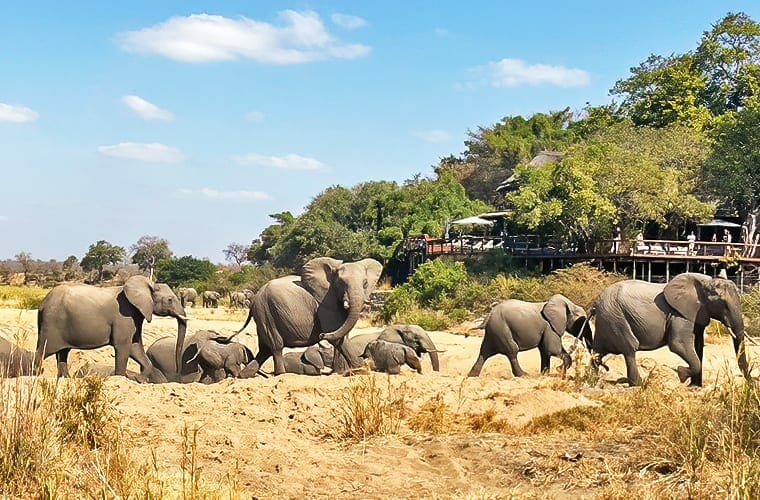 Kruger National Park, South Africa