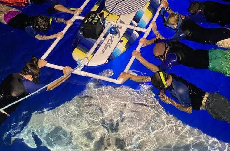 manta ray night dive and snorkel ecoadventure, kailua kona