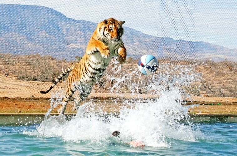 Out Of Africa Wildlife Park