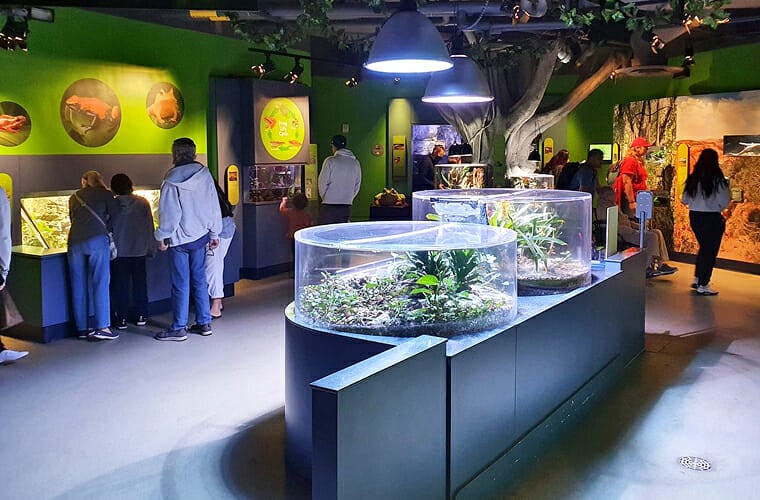 aquarium of the pacific