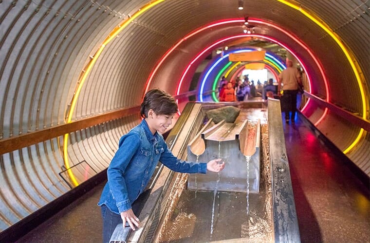 Brooklyn Children&rsquo;s Museum