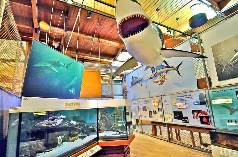Cabrillo Marine Aquarium