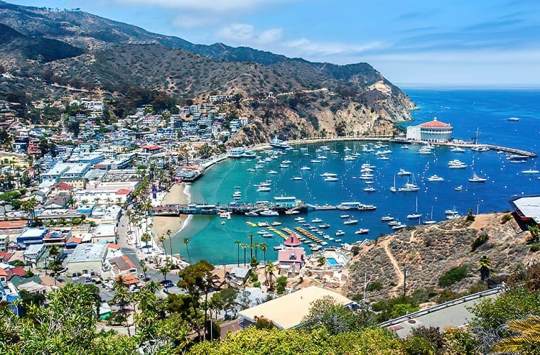 Catalina Island