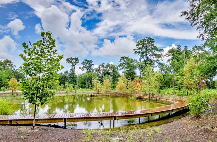 Houston Arboretum and Nature Center