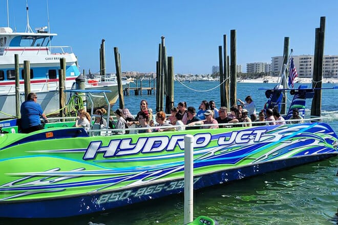 hydrojet dolphin cruise