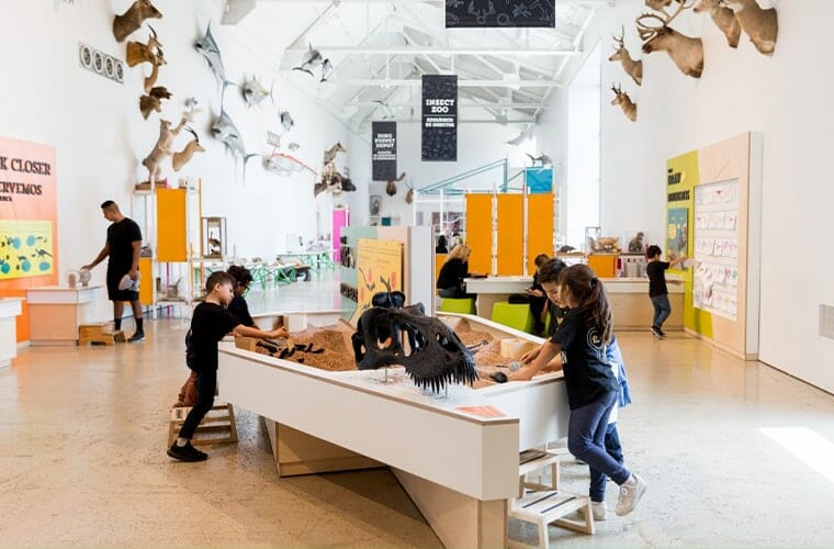 La Brea Tar Pits & Museum