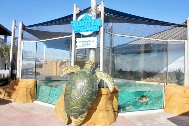Living Coast Discovery Center