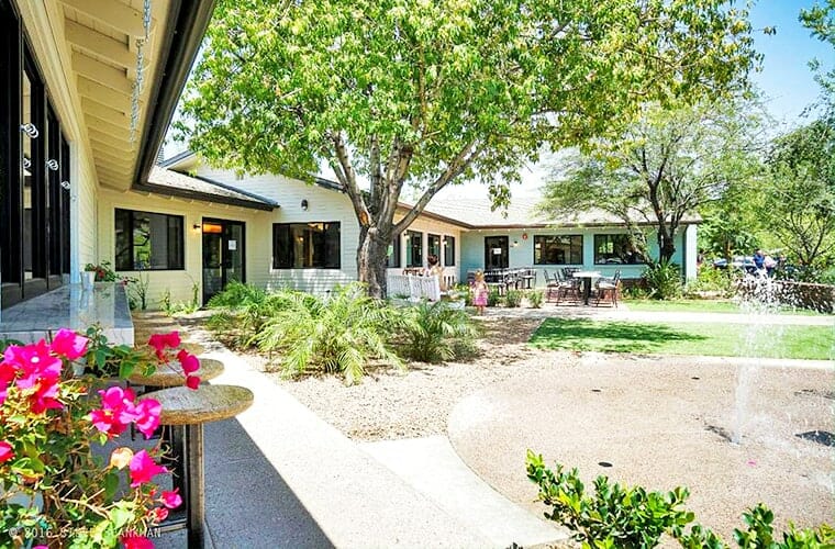 Luci&rsquo;s At The Orchard