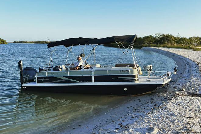 Manatee Sightseeing and Wildlife Boat Tour