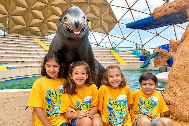 Miami Seaquarium Tours