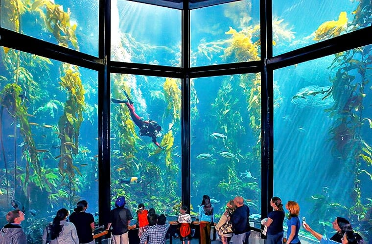 Monterey Bay Aquarium