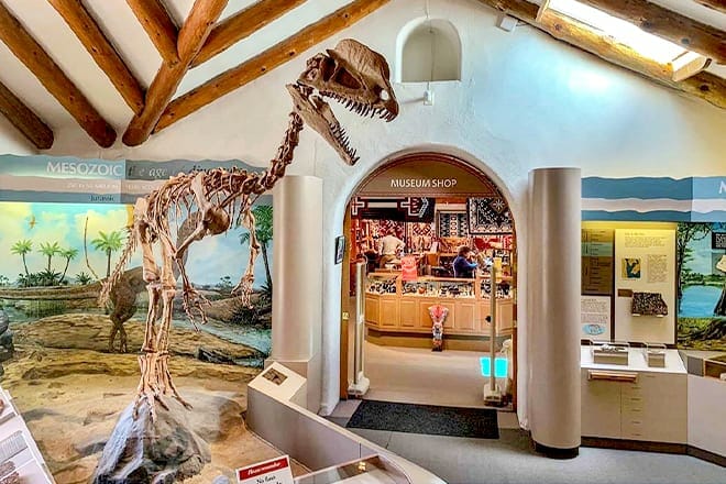 Museum Of Northern Arizona