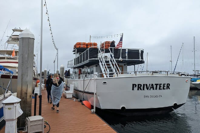 san diego whale watching cruise