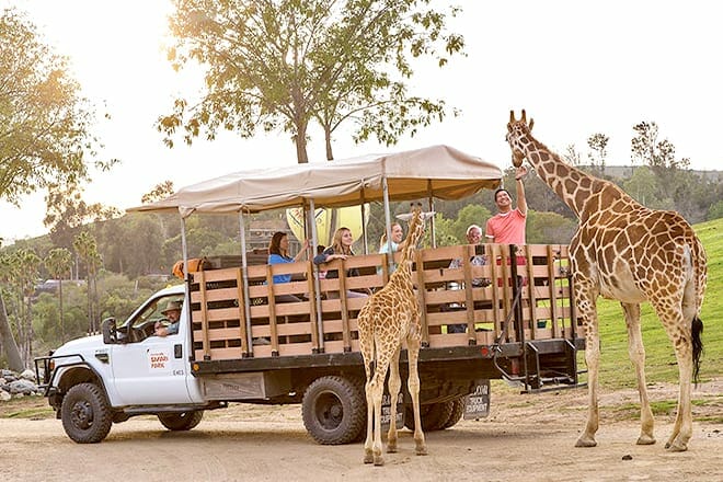 San Diego Zoo Safari Park