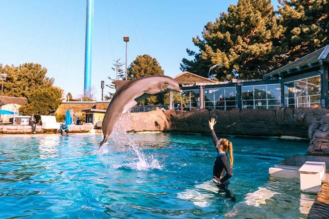 Seaworld San Diego
