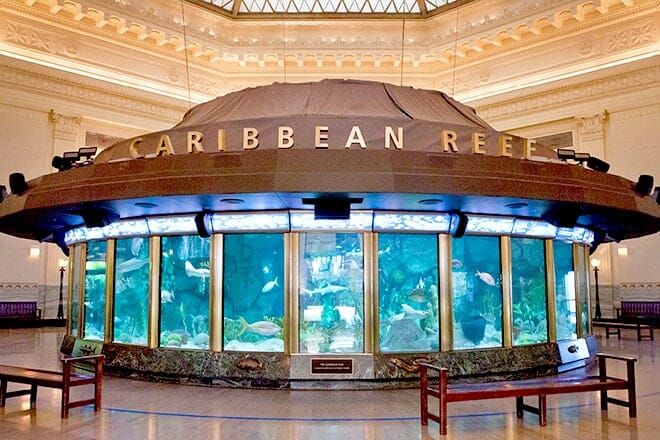 Shedd Aquarium