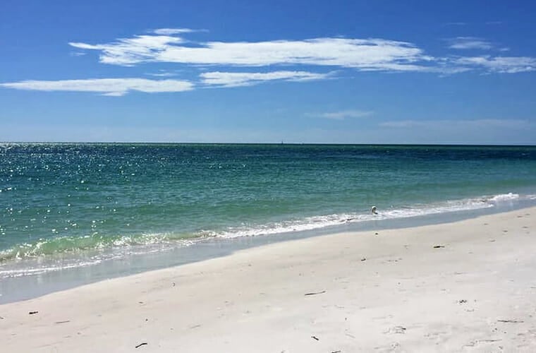 siesta key beach