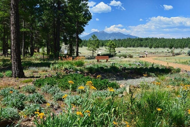 The Arboretum At Flagstaff