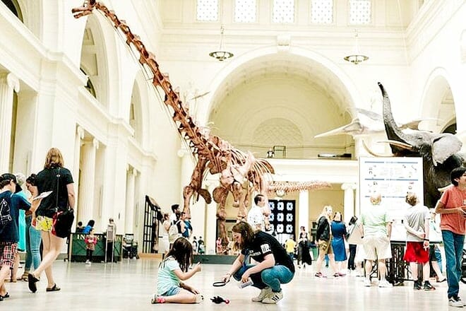 The Field Museum