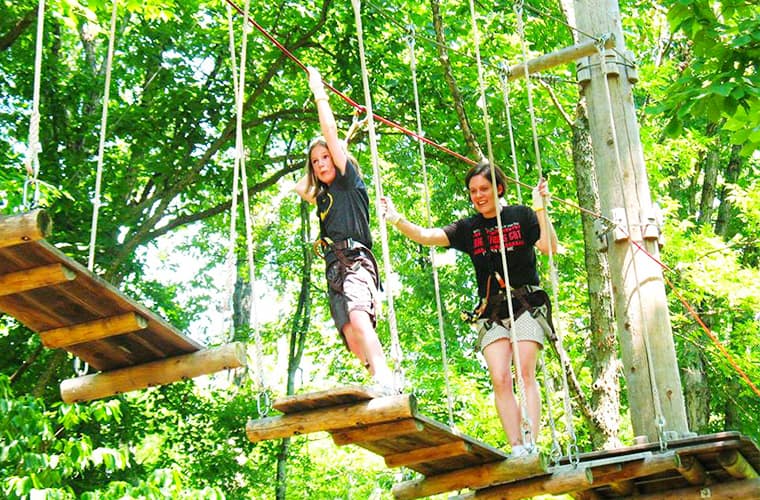 Treetop Adventure Park
