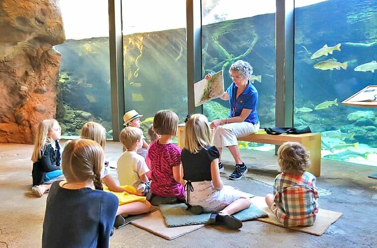 Turtle Bay Exploration Park